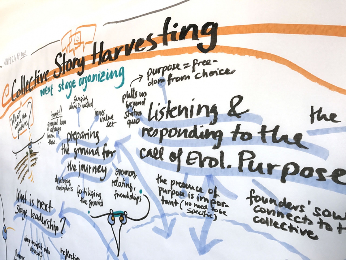 Story of Harvesting | VISUAL FACILITATORS